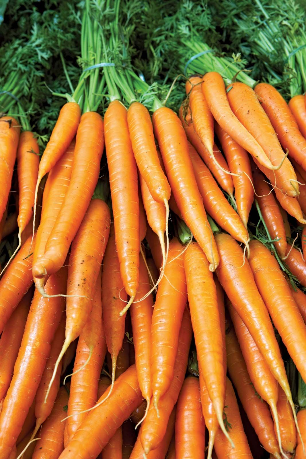 “Unlock the Power of Carrots: Boost Vision, Immunity, and Heart Health ...